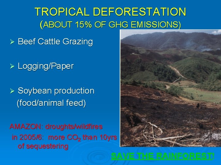 SUSTAINABLE ENERGY FOR A WARMING PLANET Jack Parker
