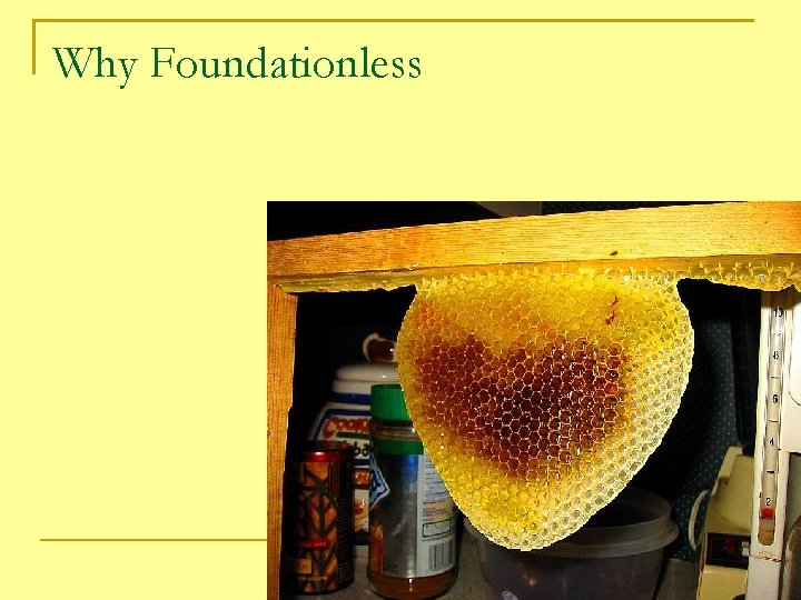 How and Why do Foundationless Beekeeping By Michael