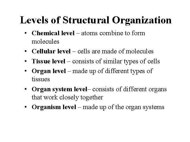 Intro to Anatomy Physiology First Brief History Andreas