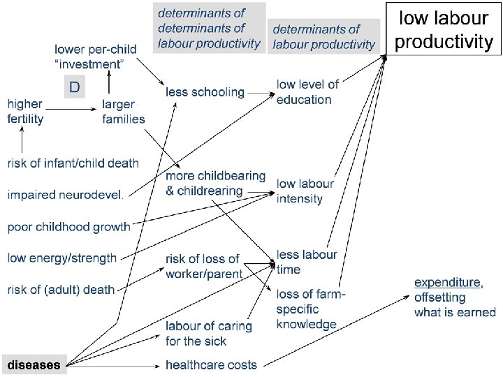 Interconnections between food production nutrition and health in