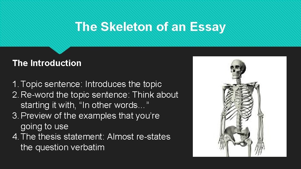 Improving Your Essays A StepbyStep Guide The Skeleton
