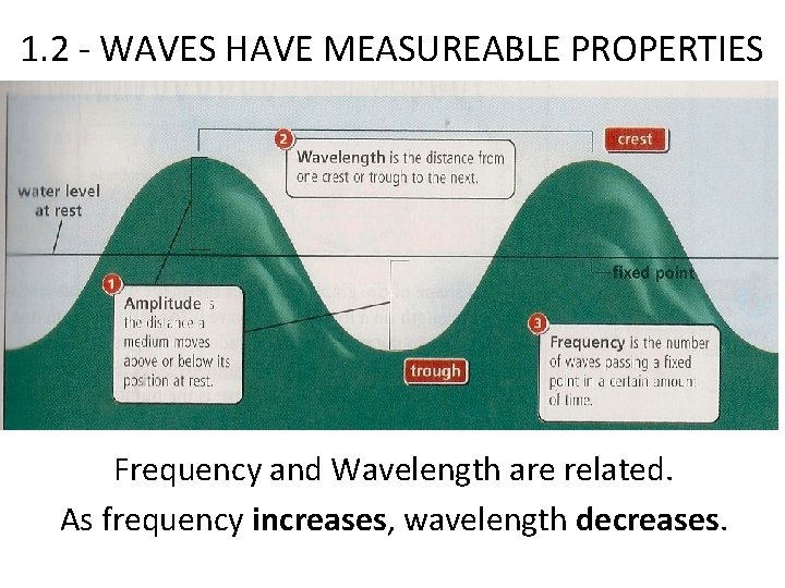 1 2 WAVES HAVE MEASUREABLE PROPERTIES Waves have