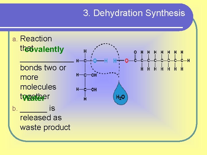 Unit 2 Biomolecules pp 44 47 QUIZ block
