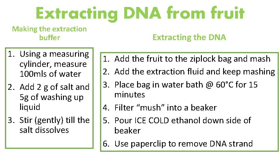 Cell Division Learning Intention To learn about genetic