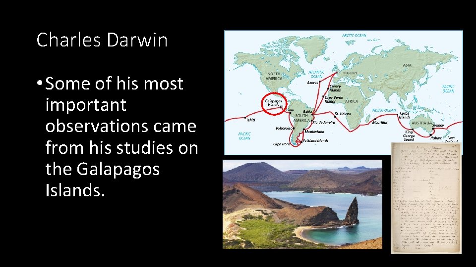 Natural Selection and Adaptations Charles Darwin Born February
