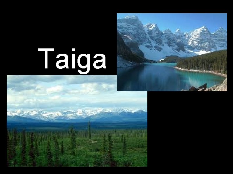 What are biomes Biomes are regions of the