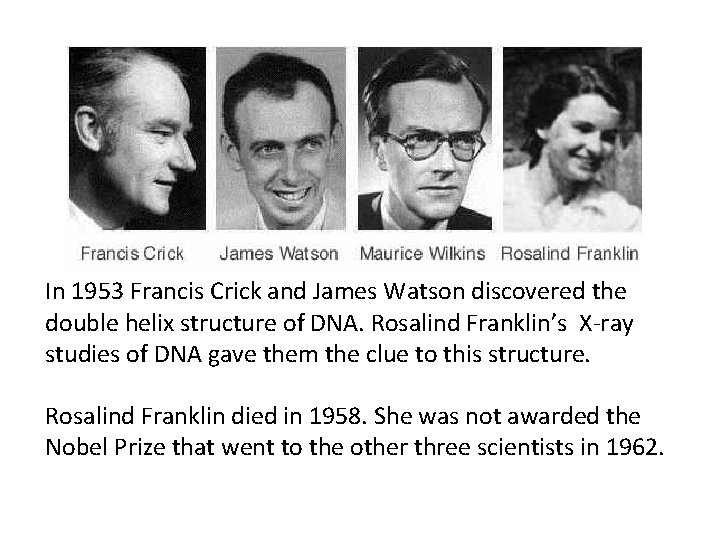 Biggest Ever Maths and Science Lesson Investigating DNA