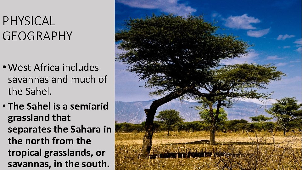 Ch 13 SUBSAHARAN AFRICA SECTION 1 GEOGRAPHY HISTORY