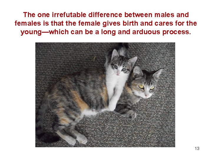 Gender Symbols Archetypes and Visual Literacy by Alleen