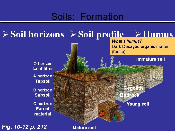 Soils Soil mixture renewable produced slowly by 1weathering