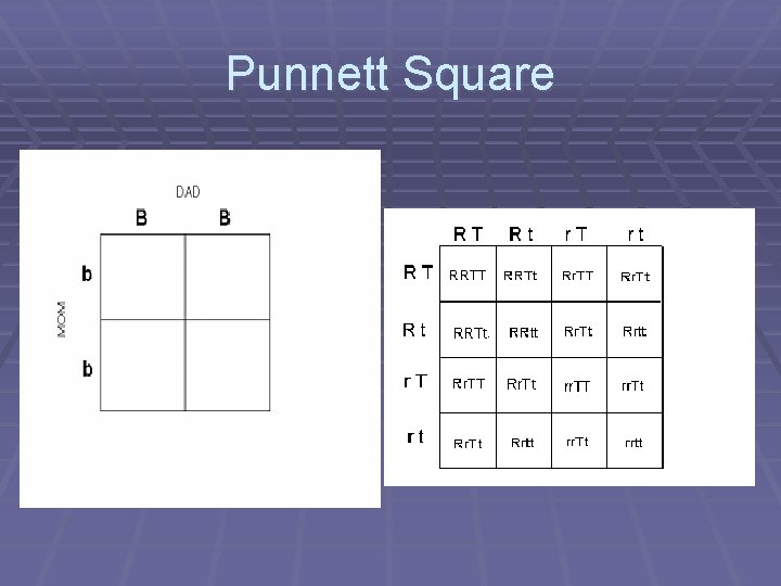 Basics of DNA Todd Rightmire Mt Baker High