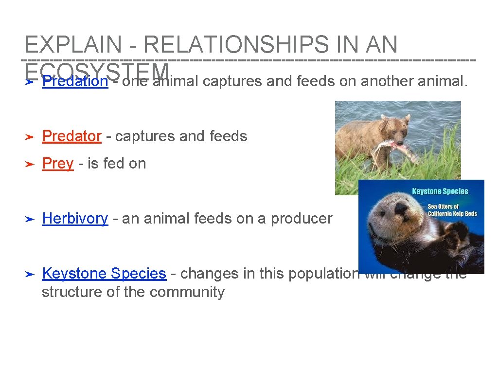 ECOSYSTEMS AND COMMUNITIES Big Q How do abiotic