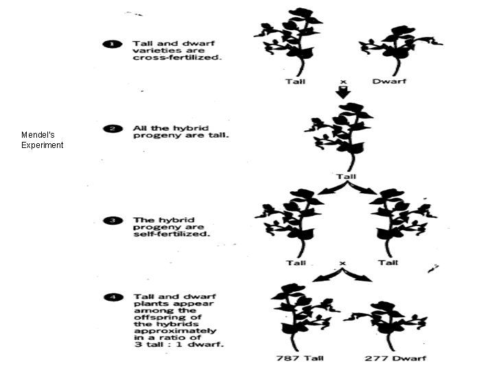 Bayesian Variable Selection In Semiparametric Regression Modeling With 7043