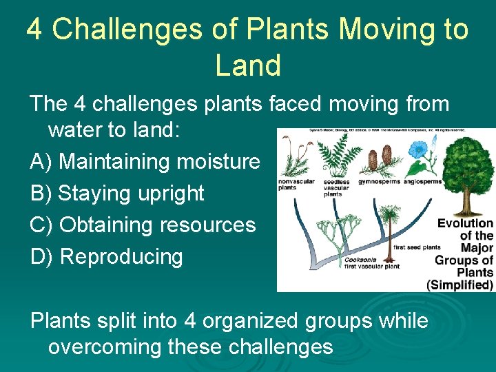 Kingdom Plantae Introduction Plants A multicellular eukaryotes B
