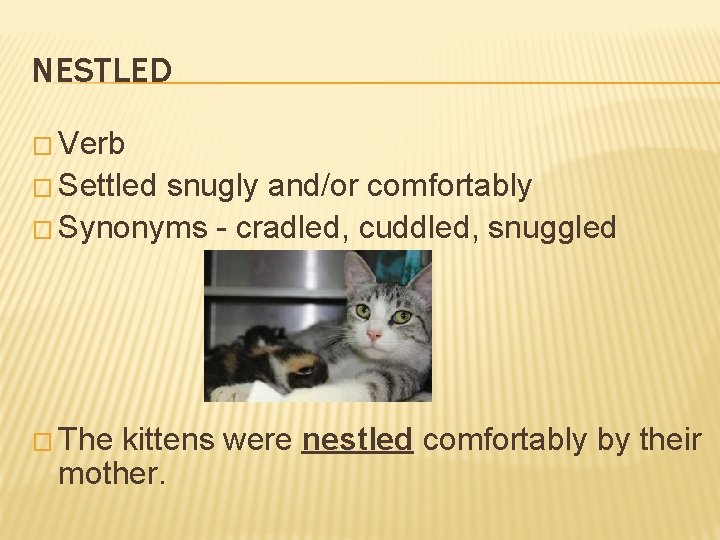 CARLOS AND THE SKUNK VOCABULARY AROUSING Verb Stimulating