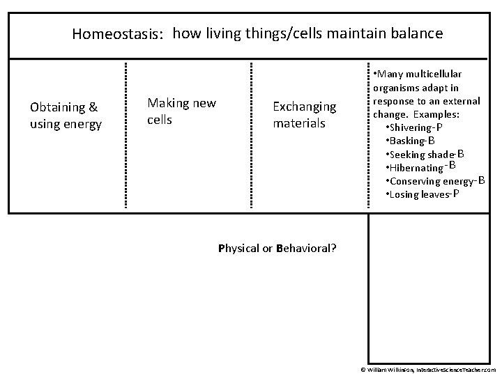 Homeostasis How living things maintain balance William Wilkinson