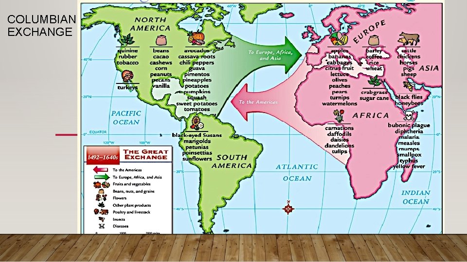WHATS UP CHRISTOPHER COLUMBUS VOCABULARY 1 COLONIZATION establishing