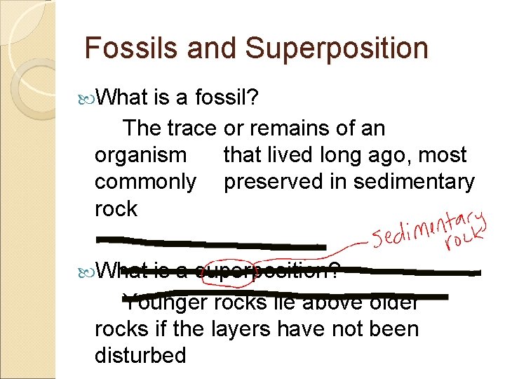Fossils and The Law of Superposition Mr Blacks