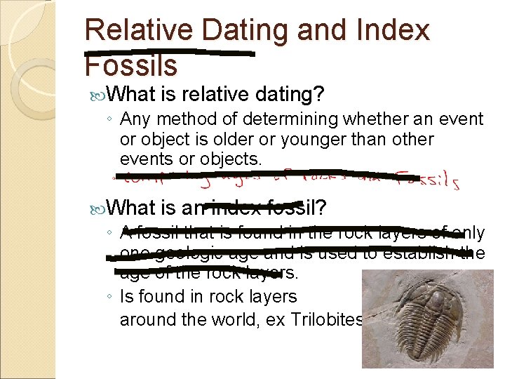 Fossils and The Law of Superposition Mr Blacks