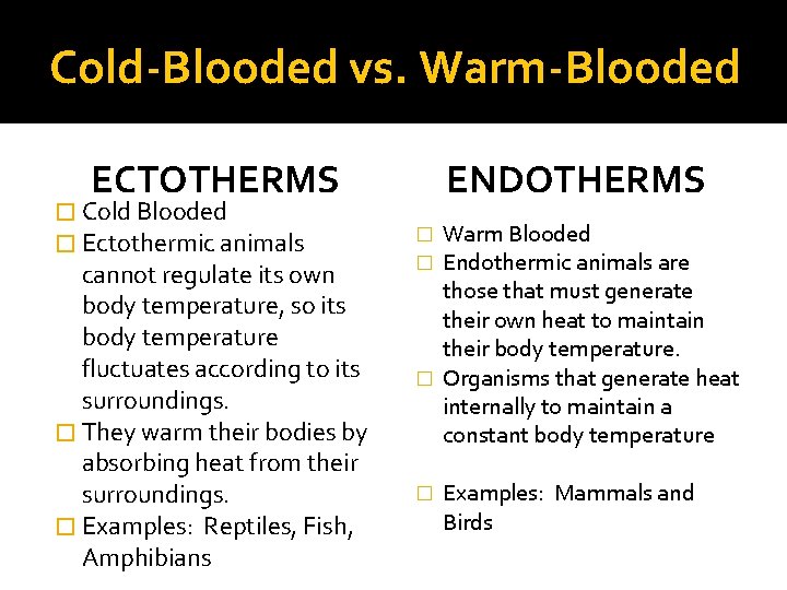 Characteristics of ANIMALS ALL Animals are Belong to