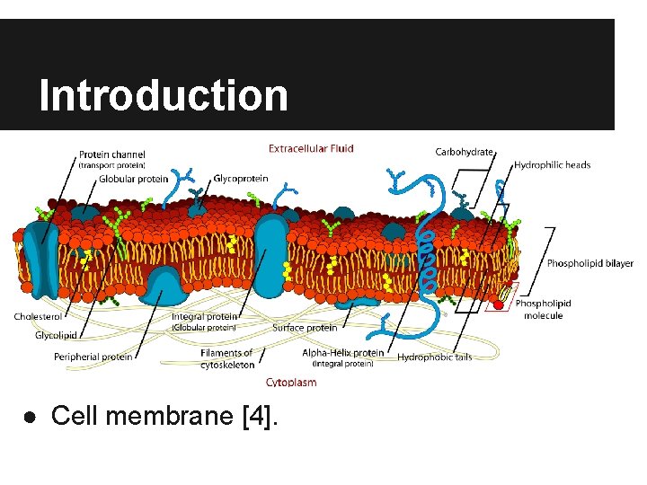 Masters Thesis Defense A Python Library for Ion