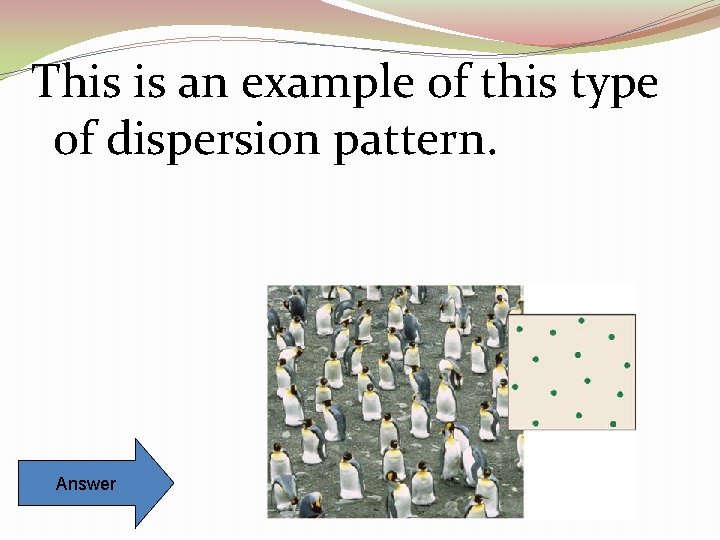 Chapter 5 3 6 Populations JEOPARDY Jeopardy Board
