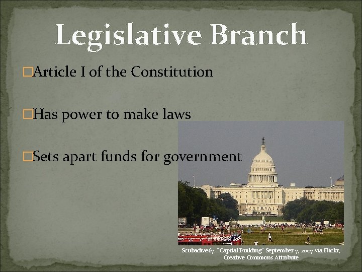 The Three Branches of Government Peterastn tree in