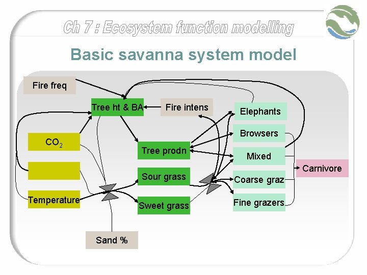 Ecosystem function modelling Presented by Bob Scholes CSIR