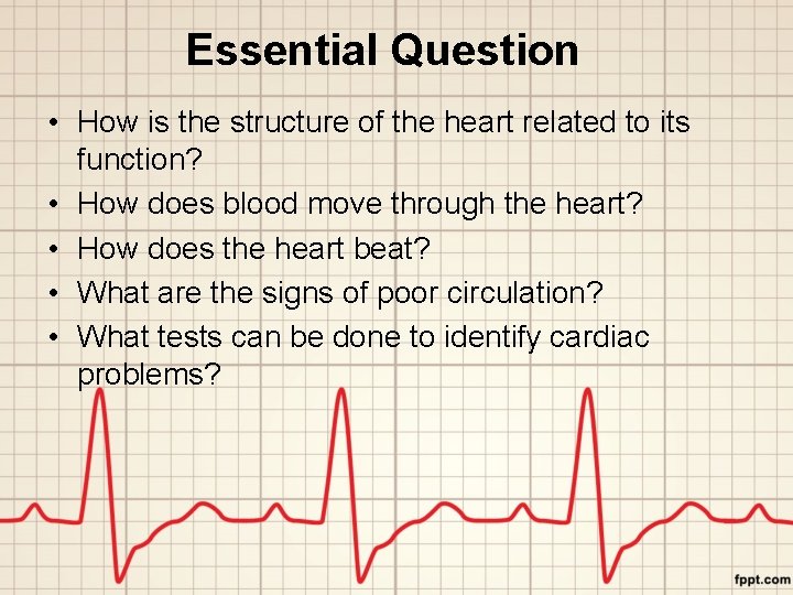 Health Science Theory Lab Cardiovascular System Review Objective
