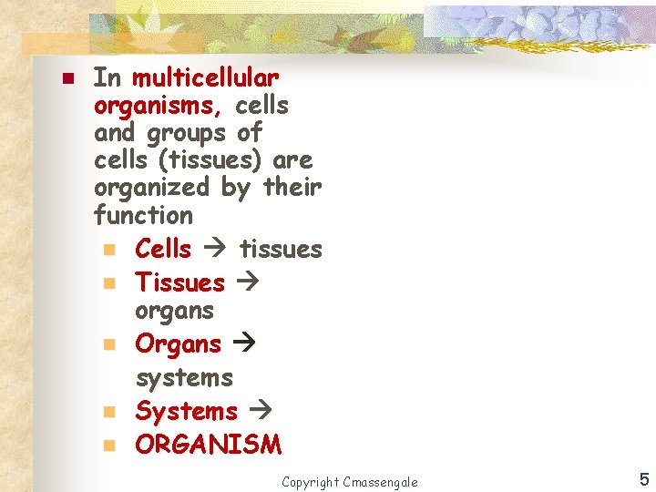 Introduction to Biology Copyright Cmassengale 1 Characteristics of
