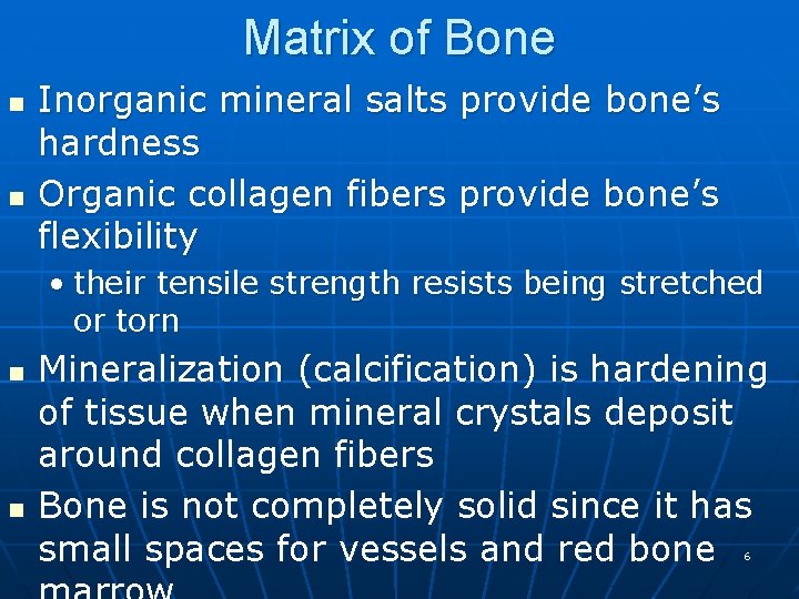 Chapter 6 The Skeletal System Bone Tissue n