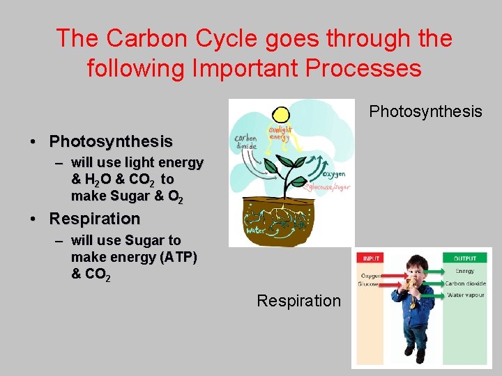 Carbon Cycle MT 8 Carbon cycle Atmosphere Burning