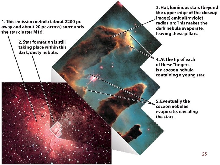 The Birth of Stars 1 Guiding Questions 1