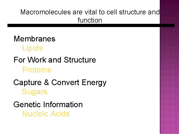 Large molecules are built from many similar smaller