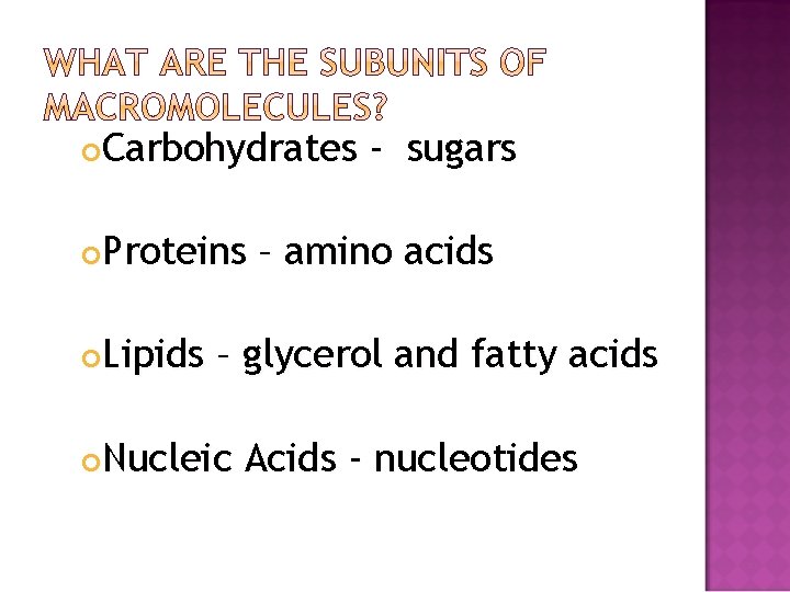 Large molecules are built from many similar smaller