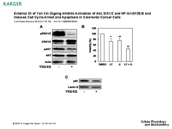 External Qi of Yan Xin Qigong Inhibits Activation
