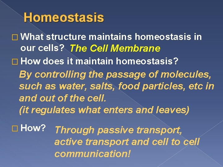 Cell Transport Homeostasis Cell Membrane Vocabulary Diffusion and