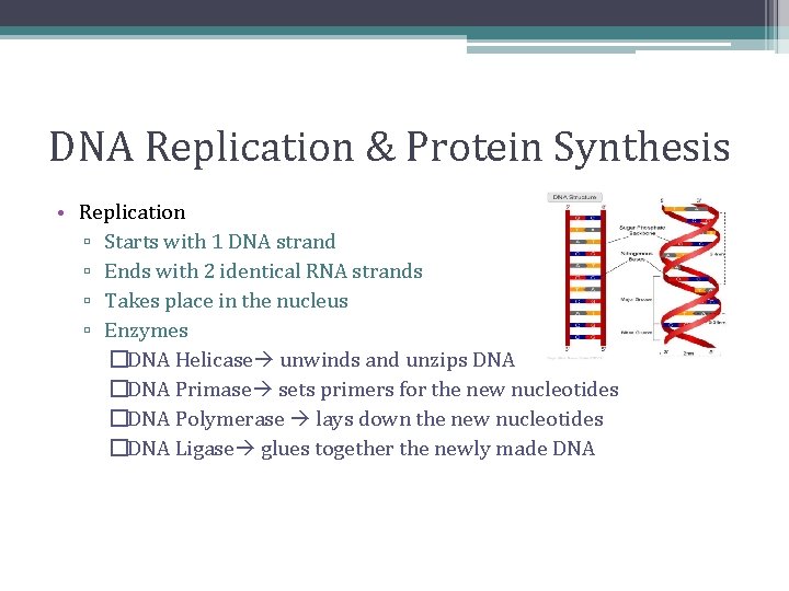 Genetics Field of Biology based on understanding how