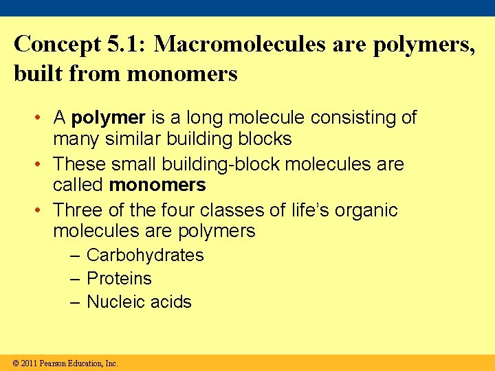Concept 4 Carbon and the Molecular Diversity of