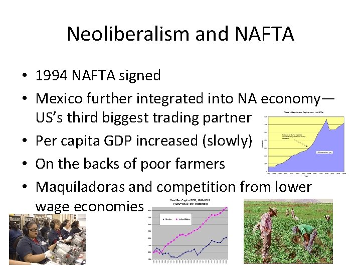 Mexico PreColumbian 5 major civilizationsOlmec Teotihuacan Maya Toltec
