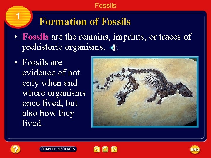 Table of Contents Chapter Clues to Earths Past