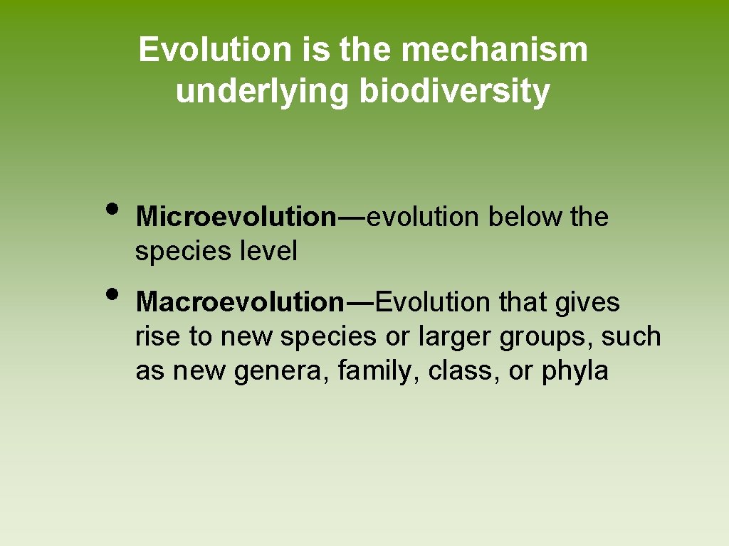Chapter 5 Evolution of Biodiversity Biodiversity What is