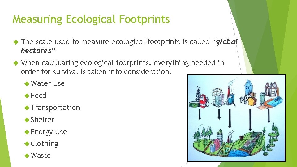 Ecological Footprint The Importance of Sustainability What is