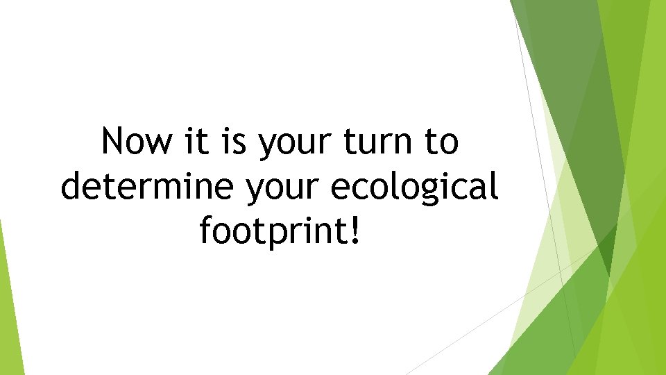 Ecological Footprint The Importance of Sustainability What is