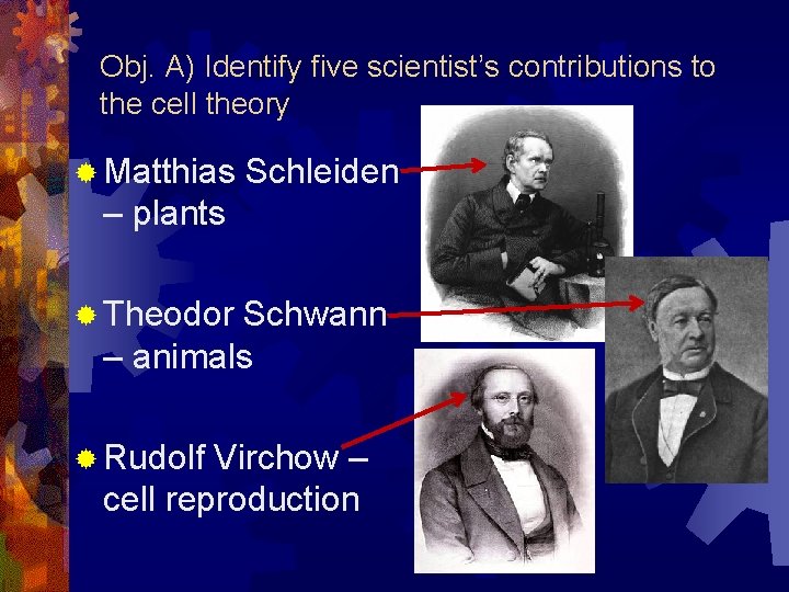 Biology Chapter 7 Section 1 Objectives Students will