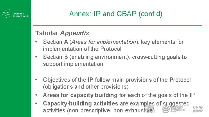 Document CBDSBI318 Implementation plan and capacity building action