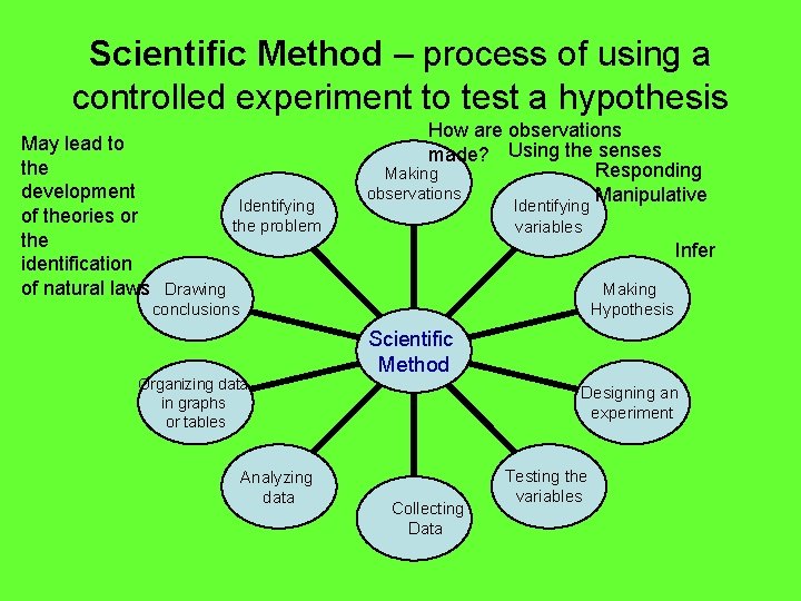 What is Science Scientific Method Graphing Measurements Biology