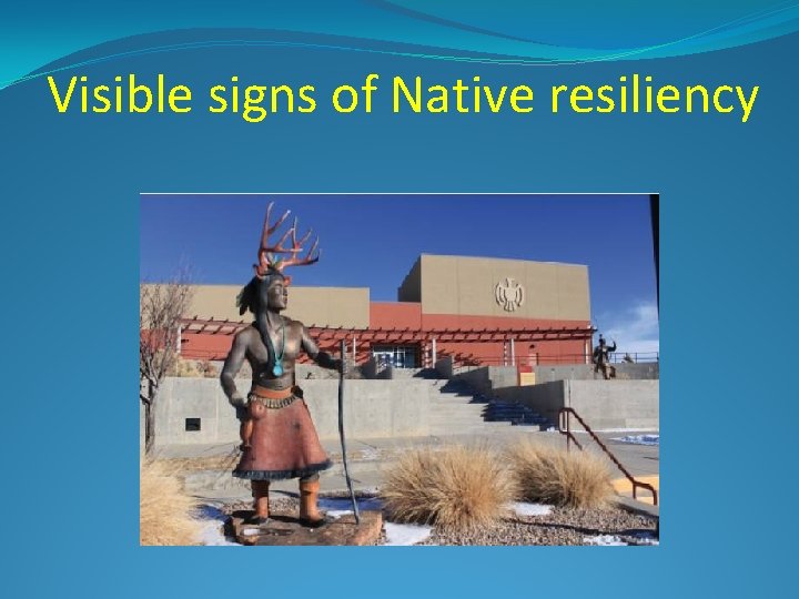 Resilience Surviving and keeping life in balance CAIR