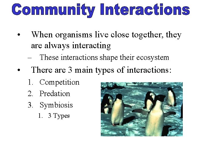 Unit 2 A Ecology Biotic Notes Population Interactions