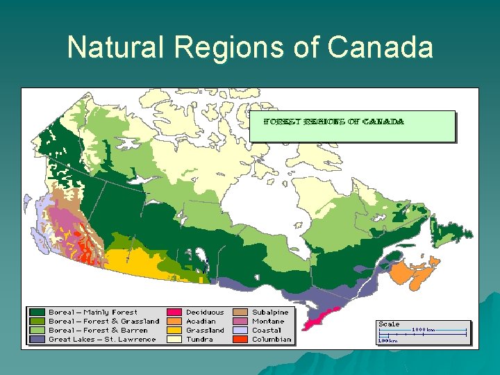 Biomes The Natural Regions of Canada Biomes u